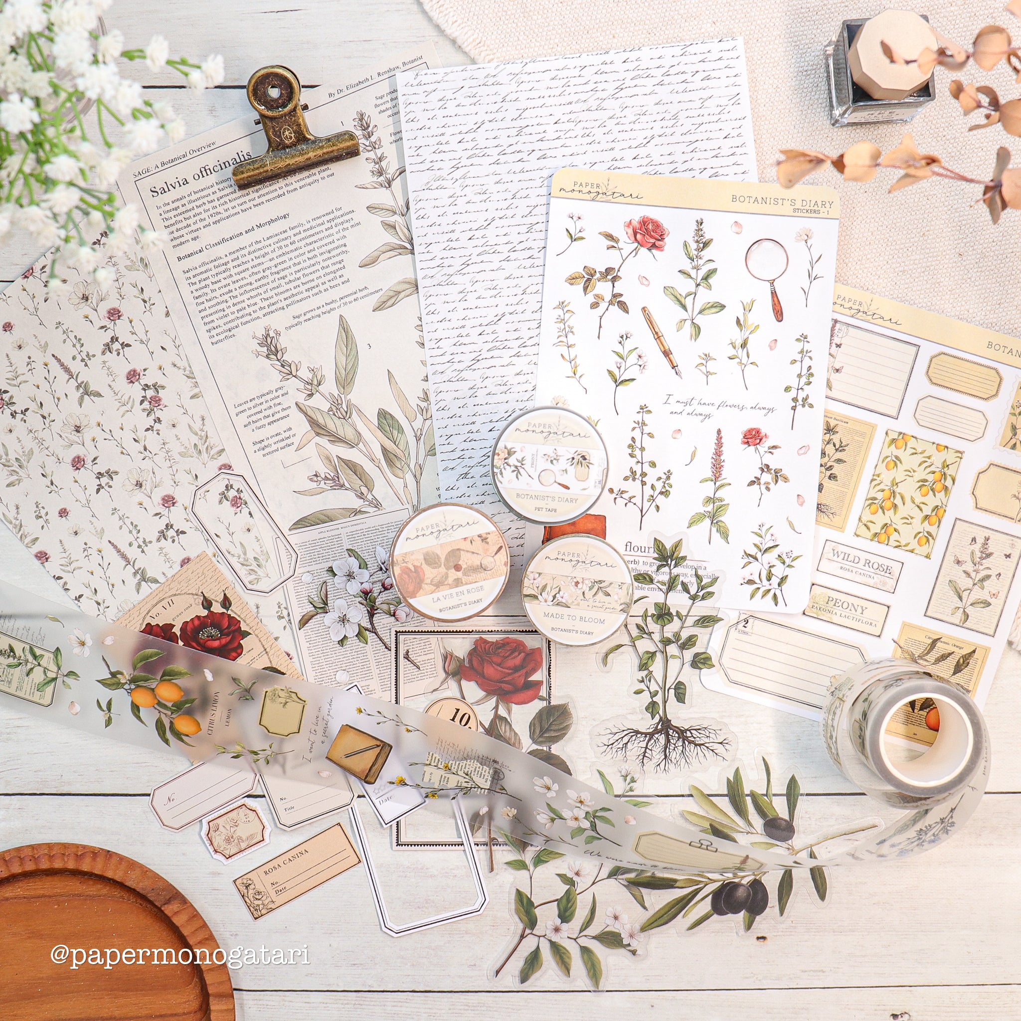 Botanist's Diary Collection Box – Paper Monogatari